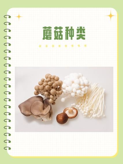 凤尾菇是平菇吗_区别与选购指南-第2张图片-山城妙识 凤尾菇是平菇吗_区别与选购指南-第2张图片-山城妙识