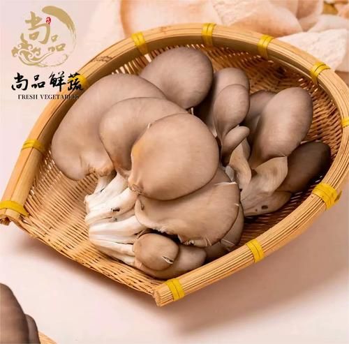 凤尾菇是平菇吗_区别与选购指南-第3张图片-山城妙识 凤尾菇是平菇吗_区别与选购指南-第3张图片-山城妙识