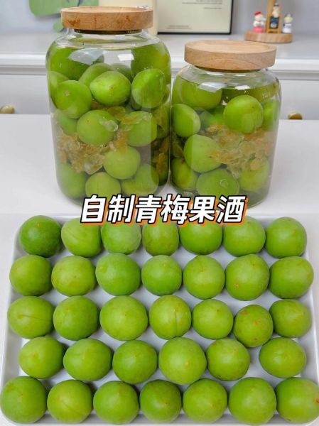 青梅酒怎么做_青梅酒用什么酒泡最好-第1张图片-山城妙识 青梅酒怎么做_青梅酒用什么酒泡最好-第1张图片-山城妙识