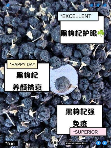 黑枸杞子泡水喝的功效与作用_黑枸杞能天天喝吗-第2张图片-山城妙识 黑枸杞子泡水喝的功效与作用_黑枸杞能天天喝吗-第2张图片-山城妙识