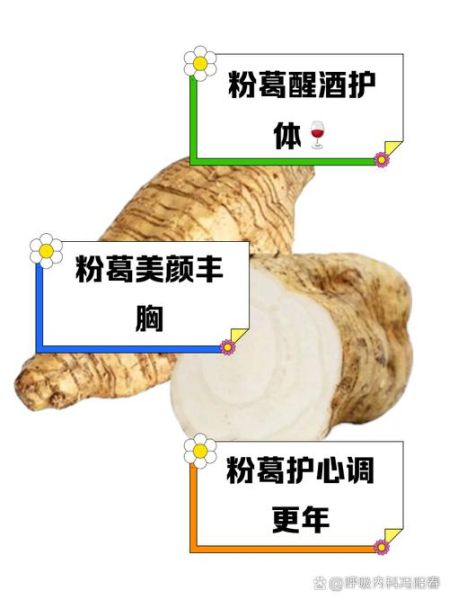 葛粉能治什么病_葛粉的功效与作用-第1张图片-山城妙识 葛粉能治什么病_葛粉的功效与作用-第1张图片-山城妙识