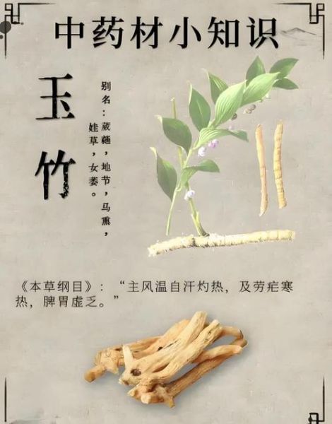 玉竹的功效与作用_玉竹怎么吃效果最好-第1张图片-山城妙识 玉竹的功效与作用_玉竹怎么吃效果最好-第1张图片-山城妙识