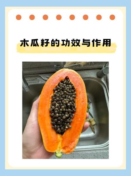 木瓜籽的正确吃法_木瓜籽怎么吃才安全-第1张图片-山城妙识 木瓜籽的正确吃法_木瓜籽怎么吃才安全-第1张图片-山城妙识