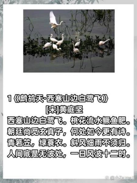 西塞山前白鹭飞_桃花流水鳜鱼肥是什么意思-第3张图片-山城妙识 西塞山前白鹭飞_桃花流水鳜鱼肥是什么意思-第3张图片-山城妙识