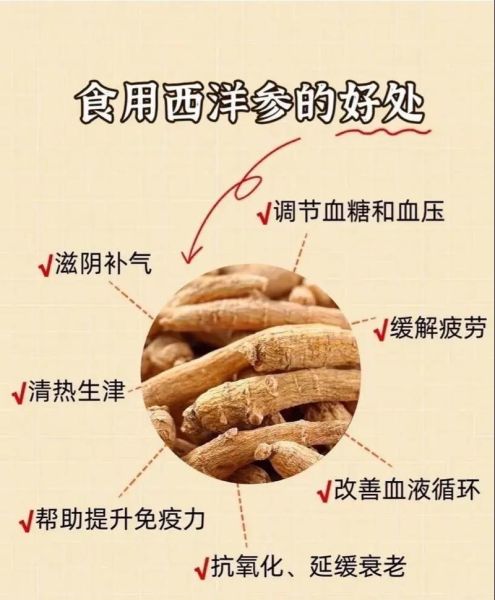 西洋参的副作用太大了_如何安全服用-第1张图片-山城妙识 西洋参的副作用太大了_如何安全服用-第1张图片-山城妙识