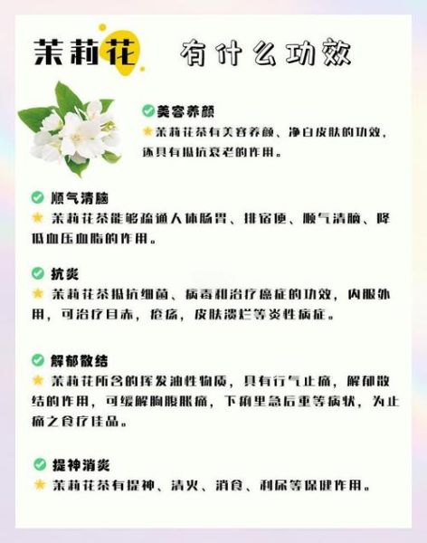 茉莉花的功效与禁忌_孕妇能喝茉莉花茶吗-第1张图片-山城妙识 茉莉花的功效与禁忌_孕妇能喝茉莉花茶吗-第1张图片-山城妙识