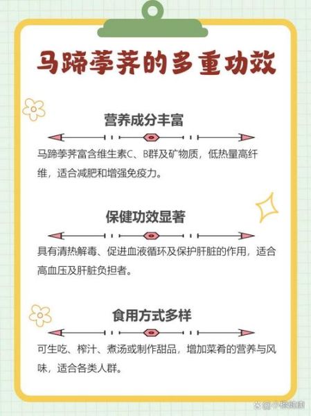 马蹄怎么吃最营养_马蹄的功效与作用-第2张图片-山城妙识 马蹄怎么吃最营养_马蹄的功效与作用-第2张图片-山城妙识