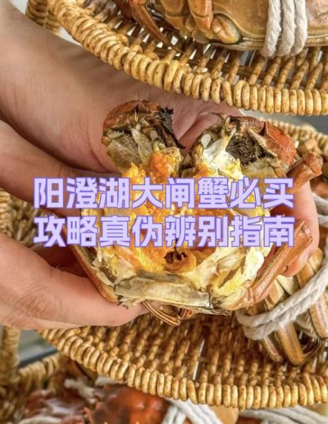 阳澄湖牌大闸蟹正宗吗_如何辨别真假-第1张图片-山城妙识