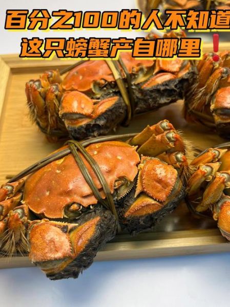 阳澄湖牌大闸蟹正宗吗_如何辨别真假-第3张图片-山城妙识