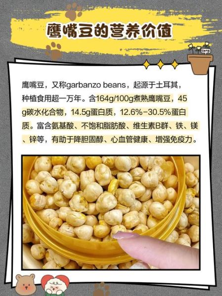鹰嘴豆的营养价值_鹰嘴豆怎么吃最有营养-第3张图片-山城妙识