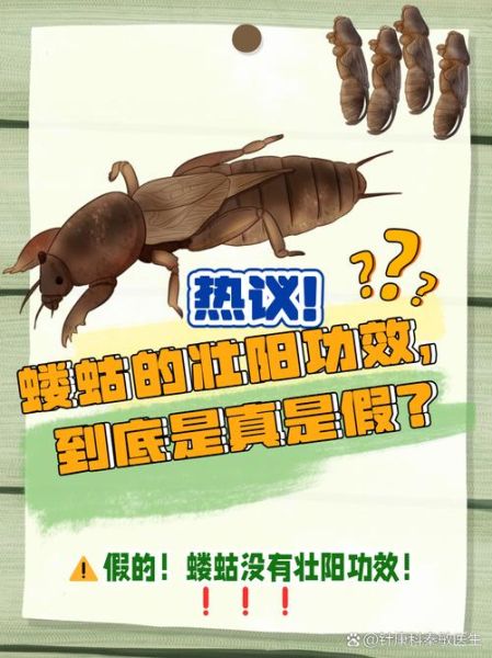 蝼蛄有毒吗_被蝼蛄咬了怎么办-第1张图片-山城妙识