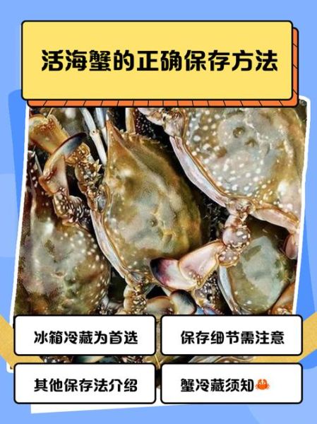 活的海螃蟹怎么保存过夜_活蟹过夜保存方法-第2张图片-山城妙识