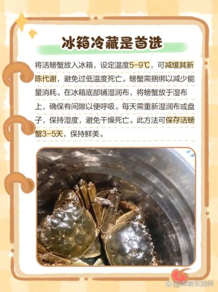 活的海螃蟹怎么保存过夜_活蟹过夜保存方法-第3张图片-山城妙识