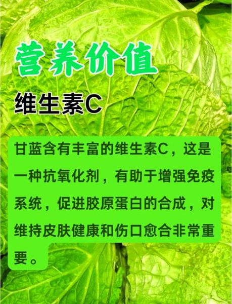 甘蓝可以生吃吗_生吃甘蓝的好处与风险-第3张图片-山城妙识 甘蓝可以生吃吗_生吃甘蓝的好处与风险-第3张图片-山城妙识