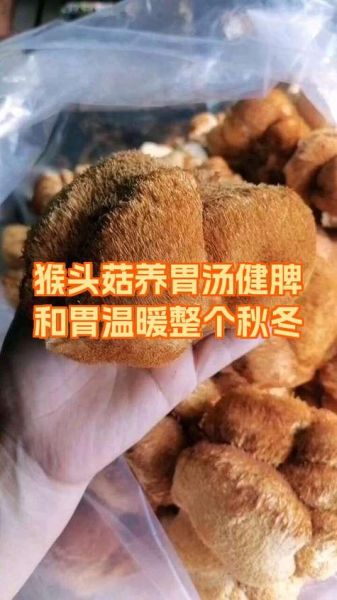 猴头菇煲汤苦怎么办_猴头菇怎么去苦味-第1张图片-山城妙识 猴头菇煲汤苦怎么办_猴头菇怎么去苦味-第1张图片-山城妙识