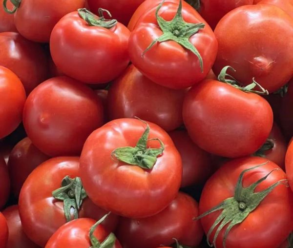 西红柿图片大全大图真实_西红柿高清大图怎么拍-第1张图片-山城妙识 西红柿图片大全大图真实_西红柿高清大图怎么拍-第1张图片-山城妙识