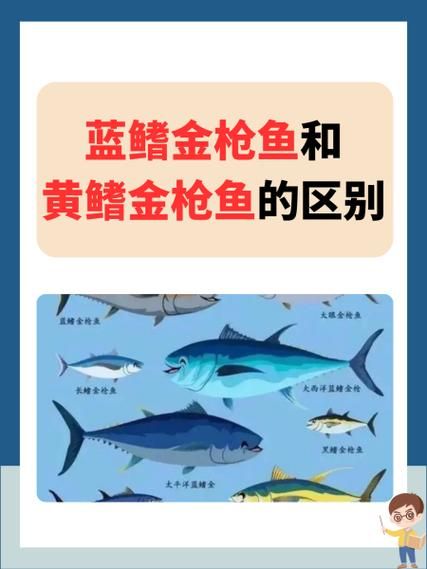 最便宜的金枪鱼是哪种_超市冷冻黄鳍还是罐装鲣鱼-第2张图片-山城妙识 最便宜的金枪鱼是哪种_超市冷冻黄鳍还是罐装鲣鱼-第2张图片-山城妙识