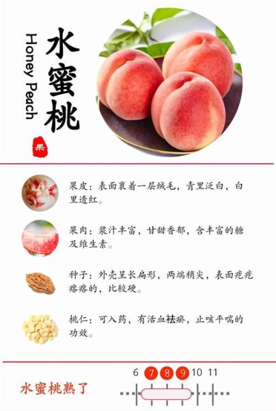 蜜桃甜是什么味道_蜜桃甜和桃子味有什么区别-第1张图片-山城妙识