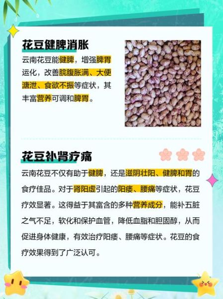 花豆的功效与作用禁忌_花豆怎么吃最健康-第1张图片-山城妙识 花豆的功效与作用禁忌_花豆怎么吃最健康-第1张图片-山城妙识