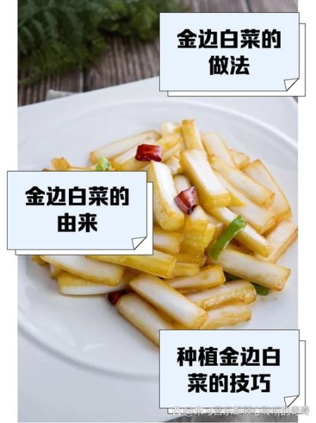 金边白菜是哪里的菜_正宗做法揭秘-第1张图片-山城妙识 金边白菜是哪里的菜_正宗做法揭秘-第1张图片-山城妙识
