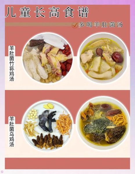 营养汤煲2888例_适合全家人的四季汤谱-第3张图片-山城妙识 营养汤煲2888例_适合全家人的四季汤谱-第3张图片-山城妙识