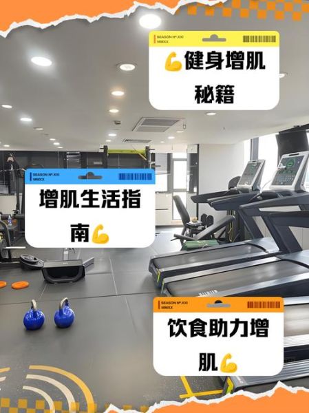 男人太瘦了怎么增肥_增重饮食计划-第2张图片-山城妙识 男人太瘦了怎么增肥_增重饮食计划-第2张图片-山城妙识