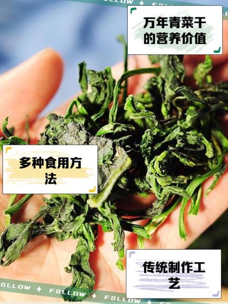 万年青菜干怎么泡发_万年青菜干的营养价值-第1张图片-山城妙识 万年青菜干怎么泡发_万年青菜干的营养价值-第1张图片-山城妙识