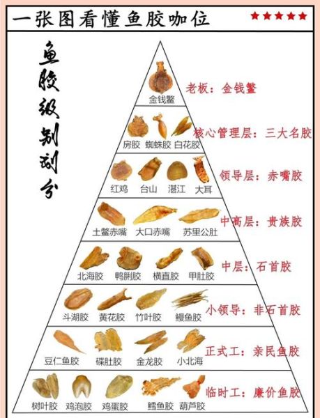 鱼胶粉和水比例是多少_如何调配不结块-第1张图片-山城妙识 鱼胶粉和水比例是多少_如何调配不结块-第1张图片-山城妙识
