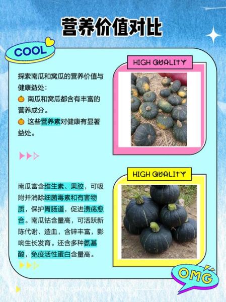 倭瓜是南瓜吗_倭瓜和南瓜的区别-第1张图片-山城妙识 倭瓜是南瓜吗_倭瓜和南瓜的区别-第1张图片-山城妙识