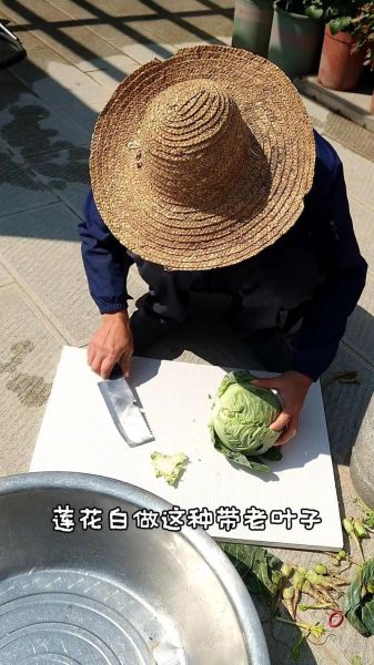 浆水没引子怎么做_浆水没引子发酵技巧-第3张图片-山城妙识