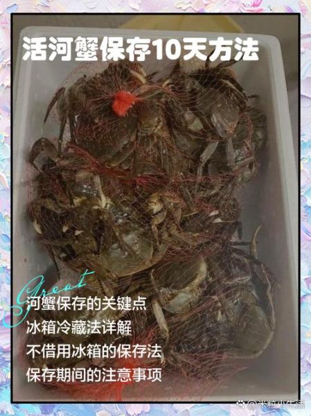 螃蟹放0度保鲜还是4度冷藏_活蟹保存温度多少合适-第3张图片-山城妙识