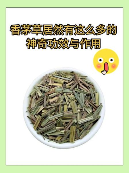 香茅泡水喝有什么作用_香茅茶的功效与禁忌-第3张图片-山城妙识 香茅泡水喝有什么作用_香茅茶的功效与禁忌-第3张图片-山城妙识