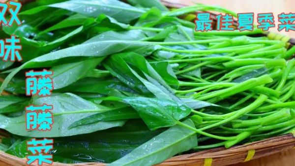 家常菜刘凯美食怎么做_刘凯美食菜谱大全-第3张图片-山城妙识 家常菜刘凯美食怎么做_刘凯美食菜谱大全-第3张图片-山城妙识