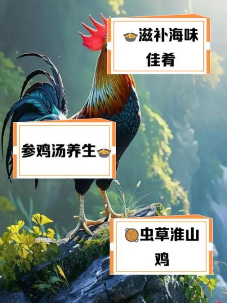 公鸡汤的功效与作用_男人喝公鸡汤有什么好处-第3张图片-山城妙识 公鸡汤的功效与作用_男人喝公鸡汤有什么好处-第3张图片-山城妙识