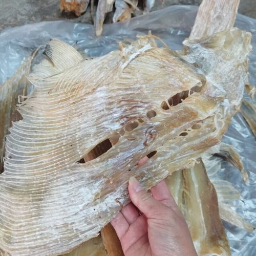 鱼翅图片高清大图_如何辨别真假鱼翅-第2张图片-山城妙识 鱼翅图片高清大图_如何辨别真假鱼翅-第2张图片-山城妙识