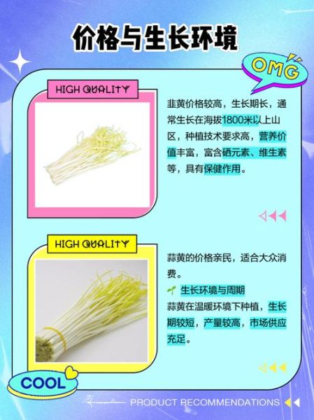 蒜黄和韭黄的区别_哪个更有营养-第3张图片-山城妙识 蒜黄和韭黄的区别_哪个更有营养-第3张图片-山城妙识