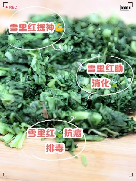 雪里红的营养价值_雪里红有什么功效与作用-第1张图片-山城妙识 雪里红的营养价值_雪里红有什么功效与作用-第1张图片-山城妙识