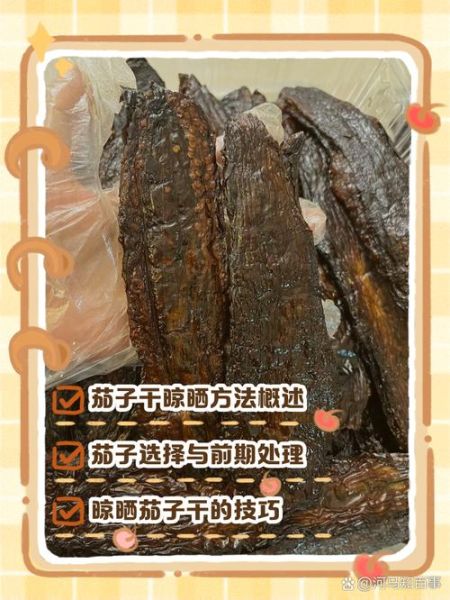 茄子怎么晒干_茄子晒干的做法大全-第1张图片-山城妙识 茄子怎么晒干_茄子晒干的做法大全-第1张图片-山城妙识