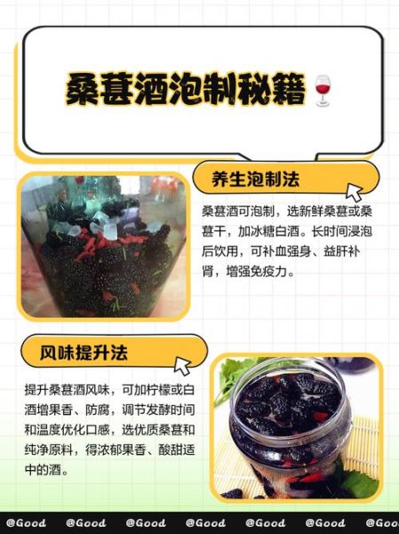 桑葚泡酒的做法_桑葚酒怎么泡才正确-第2张图片-山城妙识 桑葚泡酒的做法_桑葚酒怎么泡才正确-第2张图片-山城妙识