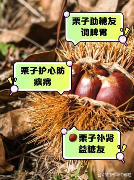 什么人不能吃板栗_板栗禁忌人群有哪些-第3张图片-山城妙识 什么人不能吃板栗_板栗禁忌人群有哪些-第3张图片-山城妙识