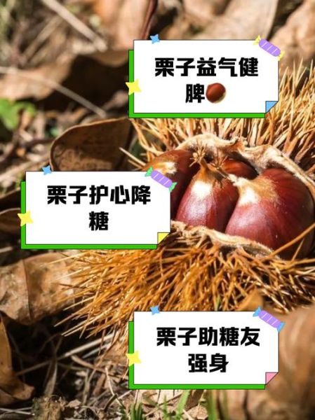 什么人不能吃板栗_板栗禁忌人群有哪些-第2张图片-山城妙识 什么人不能吃板栗_板栗禁忌人群有哪些-第2张图片-山城妙识