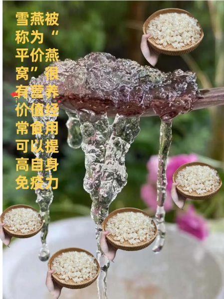 雪燕的功效与作用_雪燕怎么吃效果最好-第3张图片-山城妙识 雪燕的功效与作用_雪燕怎么吃效果最好-第3张图片-山城妙识