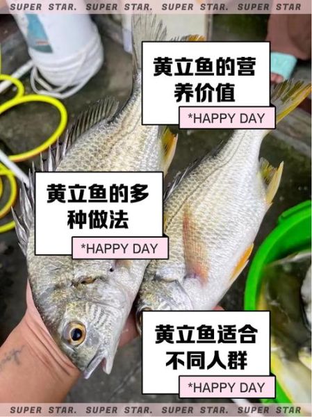 立鱼是海鱼还是淡水鱼_立鱼生活习性全解析-第2张图片-山城妙识 立鱼是海鱼还是淡水鱼_立鱼生活习性全解析-第2张图片-山城妙识