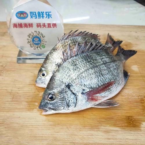 立鱼是海鱼还是淡水鱼_立鱼生活习性全解析-第3张图片-山城妙识 立鱼是海鱼还是淡水鱼_立鱼生活习性全解析-第3张图片-山城妙识