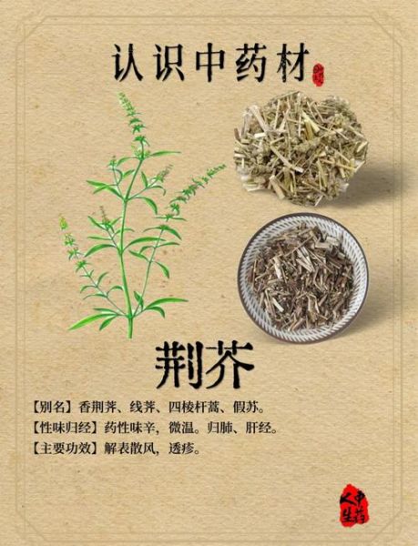 荆芥的功效与作用及禁忌_荆芥哪些人不能吃-第1张图片-山城妙识 荆芥的功效与作用及禁忌_荆芥哪些人不能吃-第1张图片-山城妙识