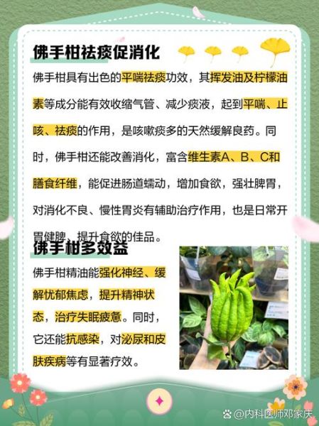 佛手柑泡水喝的功效_佛手柑泡水能天天喝吗-第2张图片-山城妙识 佛手柑泡水喝的功效_佛手柑泡水能天天喝吗-第2张图片-山城妙识