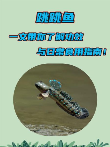 跳跳鱼动画片适合几岁孩子看_跳跳鱼动画片教育意义有哪些-第2张图片-山城妙识 跳跳鱼动画片适合几岁孩子看_跳跳鱼动画片教育意义有哪些-第2张图片-山城妙识