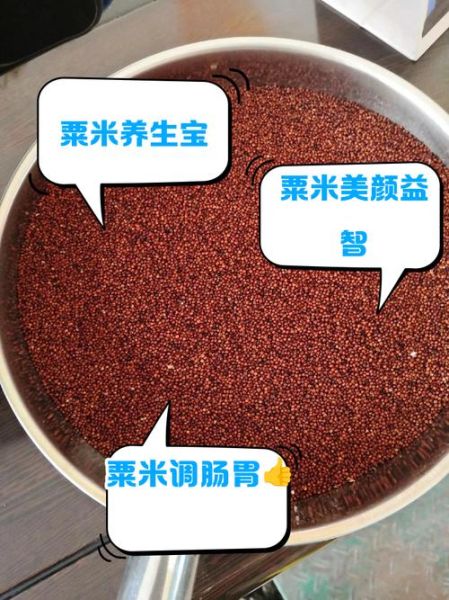 粟米和栗米有什么区别_如何一眼区分-第2张图片-山城妙识 粟米和栗米有什么区别_如何一眼区分-第2张图片-山城妙识