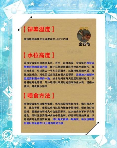 金钱龟怎么养_金钱龟饲养方法-第1张图片-山城妙识 金钱龟怎么养_金钱龟饲养方法-第1张图片-山城妙识