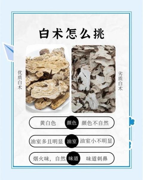 白术的功效与作用及禁忌_白术的副作用有哪些-第3张图片-山城妙识 白术的功效与作用及禁忌_白术的副作用有哪些-第3张图片-山城妙识